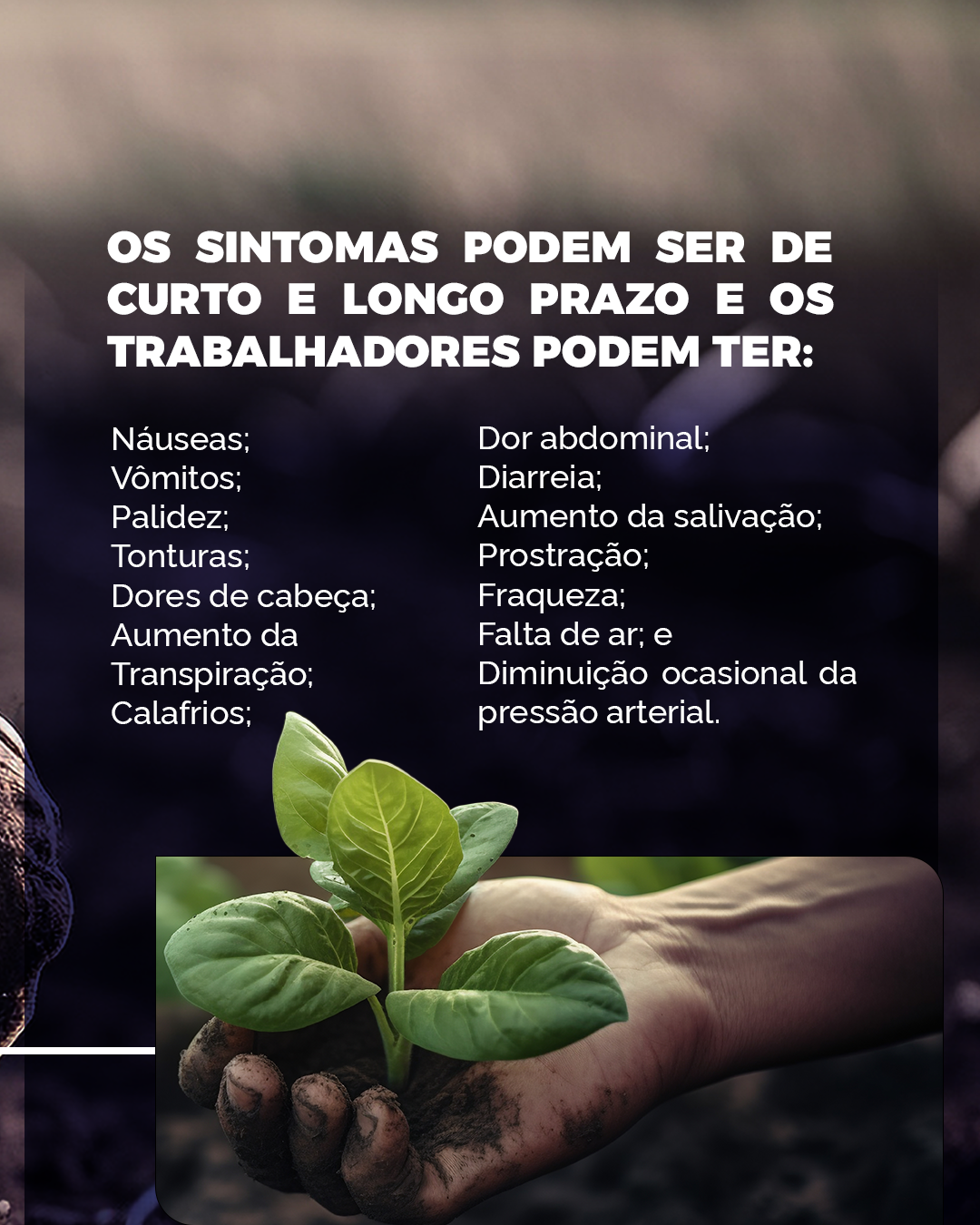 Cards para mídias sociais (carrossel): Doença da folha verde do tabaco ...