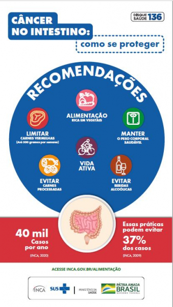 Câncer No Intestino Como Se Proteger Inca Instituto Nacional De Câncer